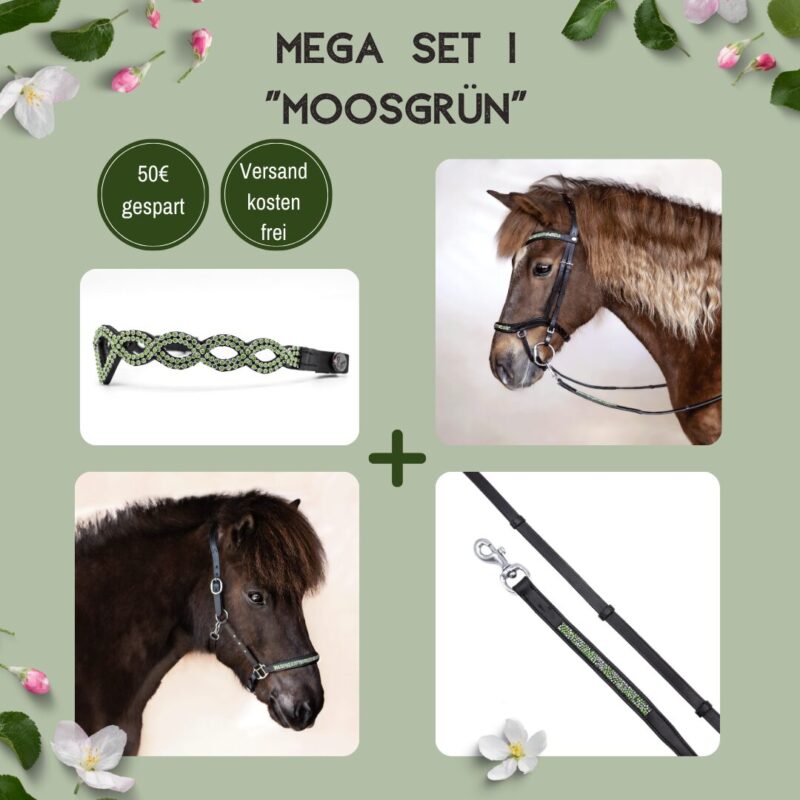 Fjóla - Dein Shop für Islandpferdezubehör