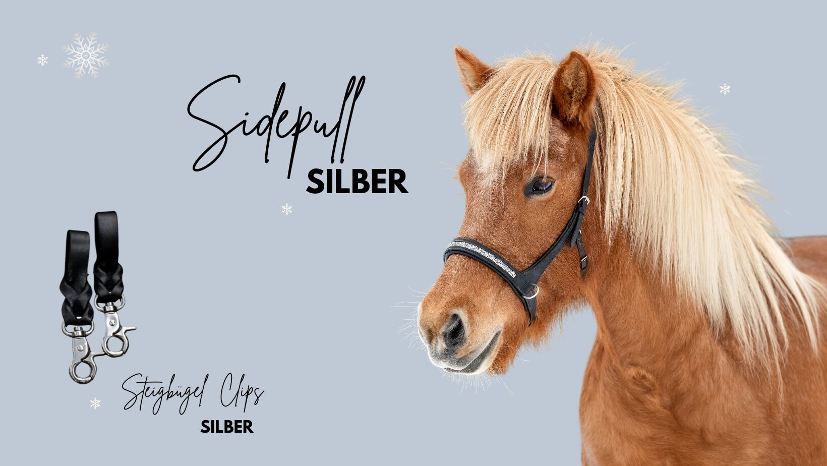 Fjóla - Dein Shop für Islandpferdezubehör