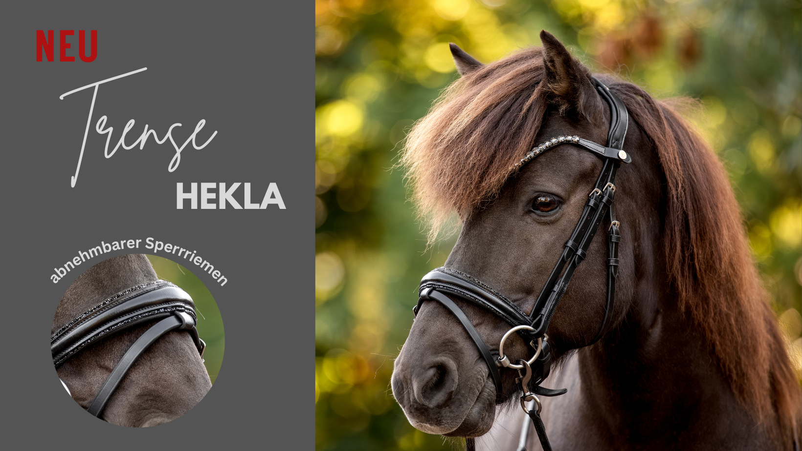 Fjóla - Dein Shop für Islandpferdezubehör