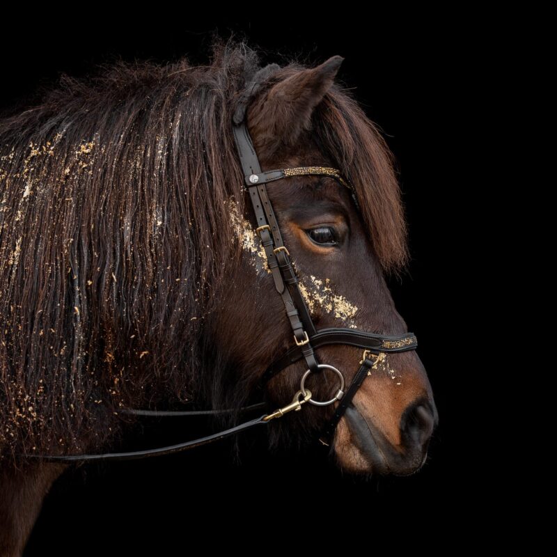 Fjóla - Dein Shop für Islandpferdezubehör