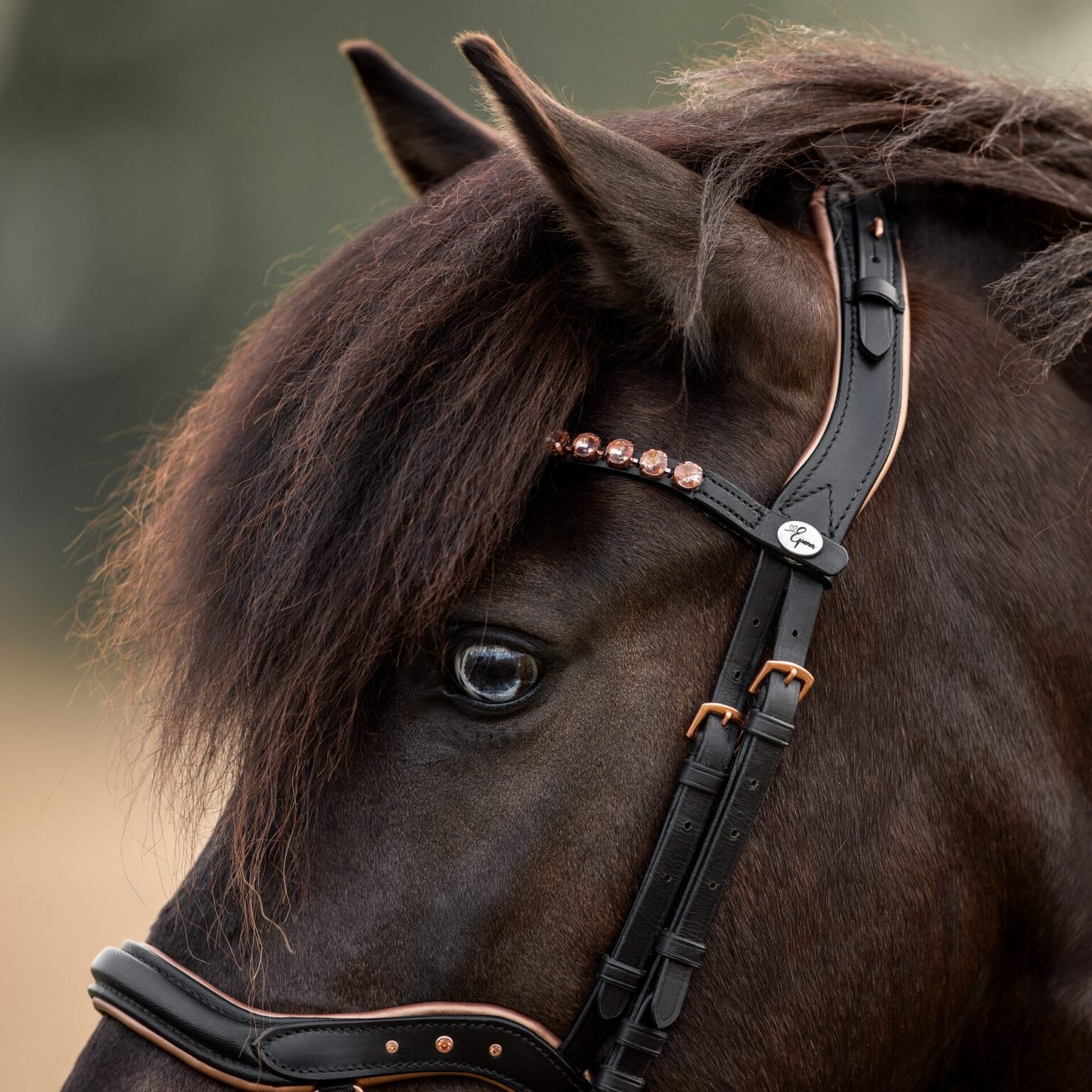 Fjóla - Dein Shop für Islandpferdezubehör