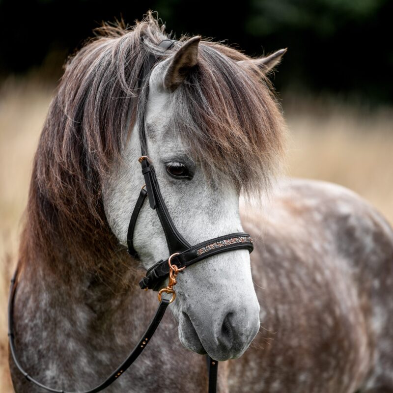 Fjóla starter set 1 "rose gold" - Fjóla