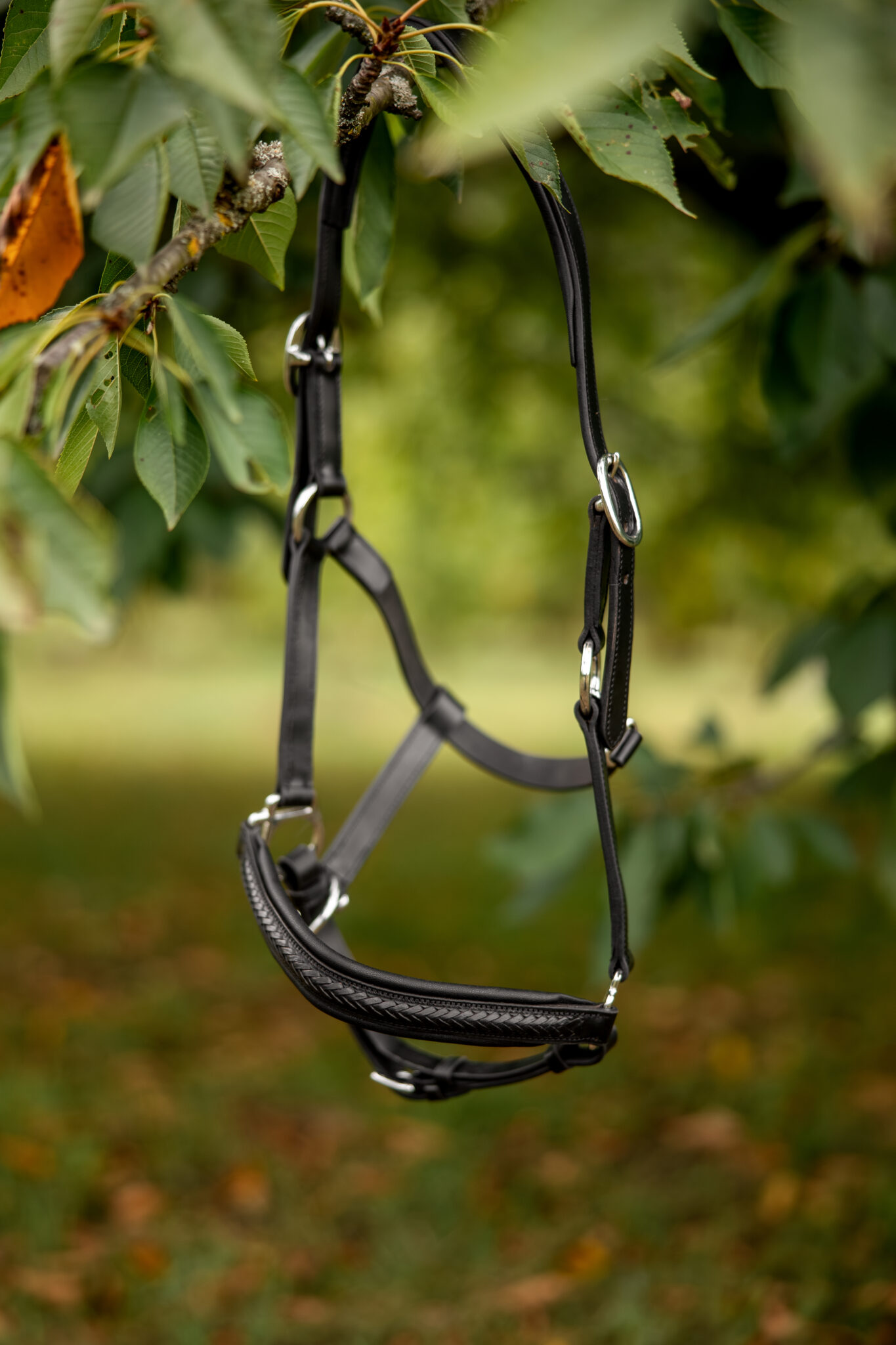 Anatomisches Lederhalfter, geflochten