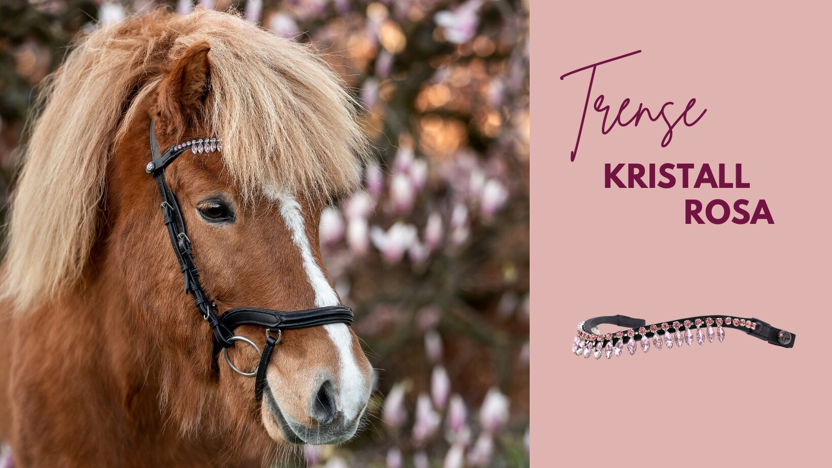 Fjóla - Dein Shop für Islandpferdezubehör