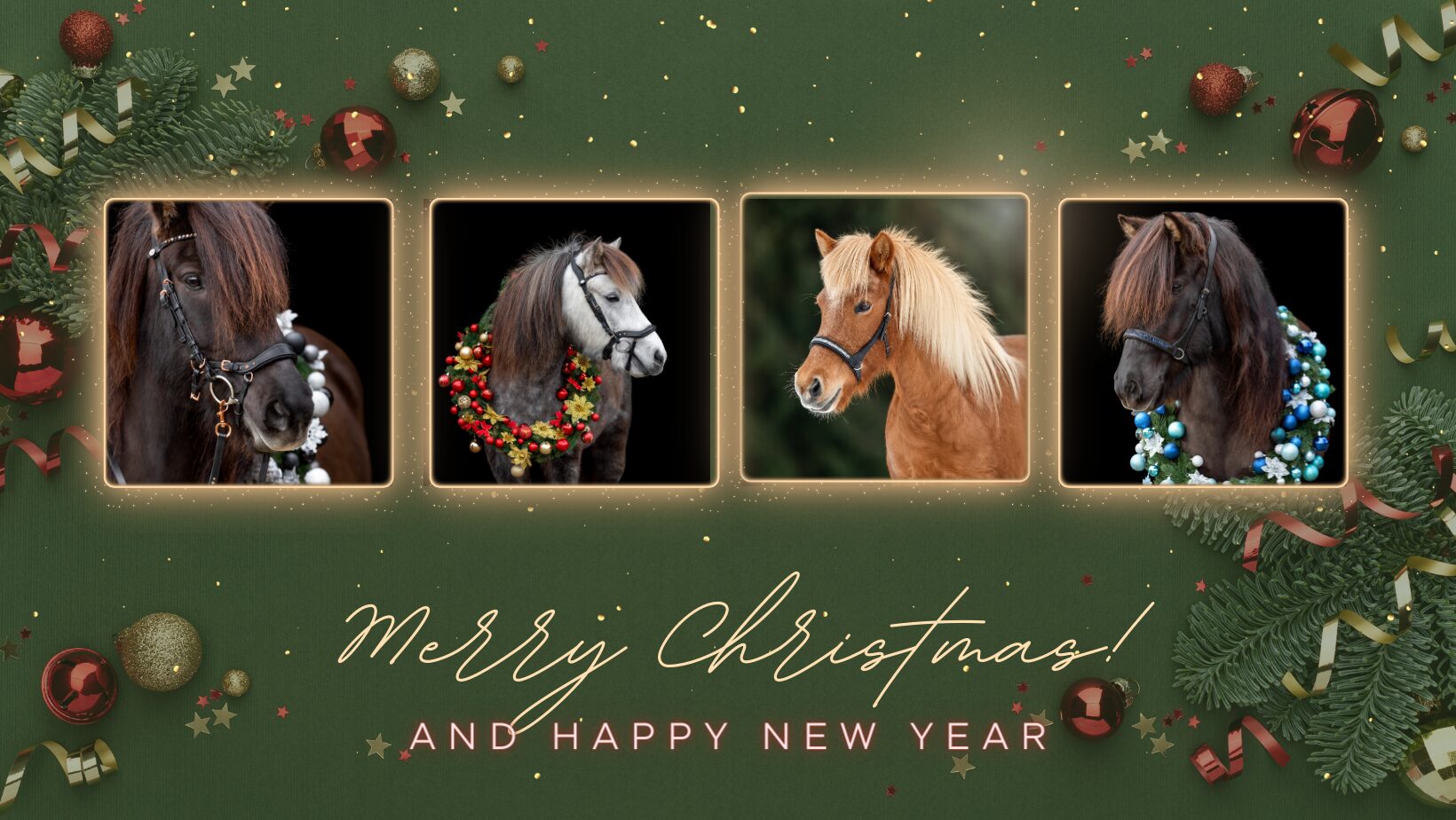 Fjóla - Dein Shop für Islandpferdezubehör